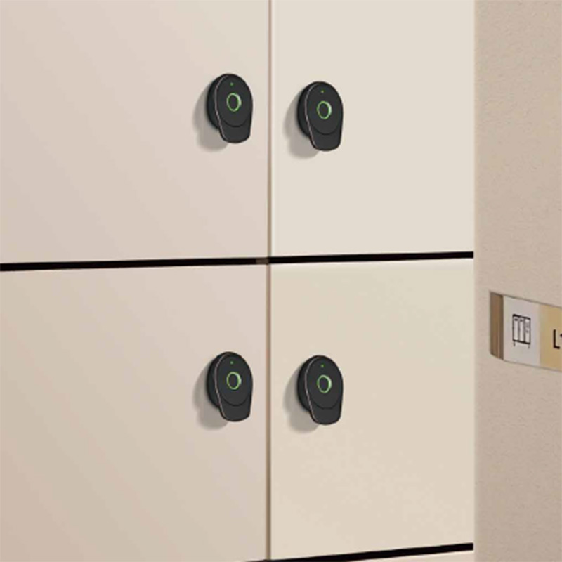 Locker Lock OEM Solutions for Faster Bulk Order Turnaround