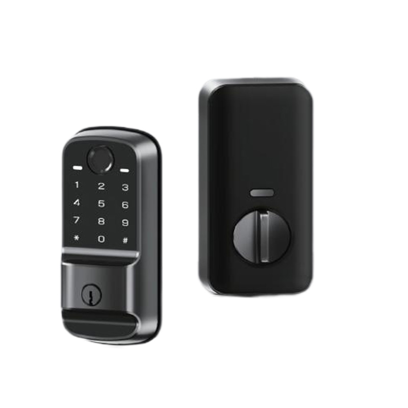 Next-Gen Voice Controlled Lock Explained