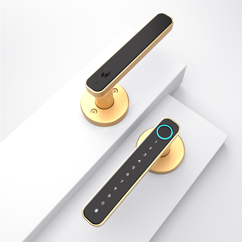 Electronic Door Knob: Key Features High-End Brands Demand